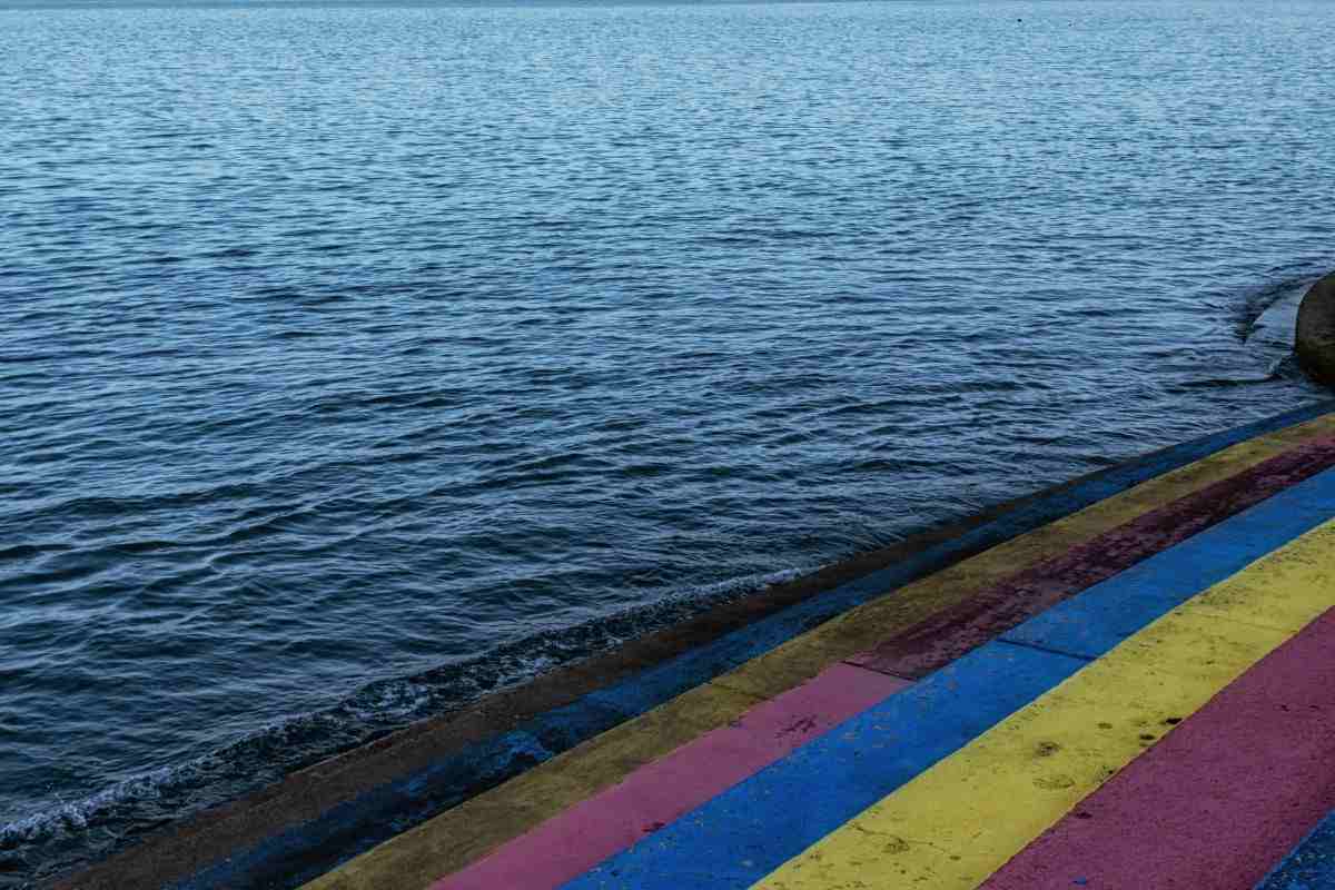 Questo fenomeno è unico al mondo: che cos’è il miracolo di Jindo ...